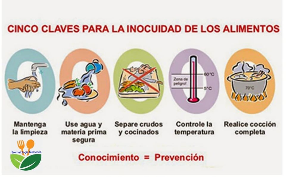 Cinco Claves Para La Inocuidad De Los Alimentos вђ рџ њ Hoymercedes